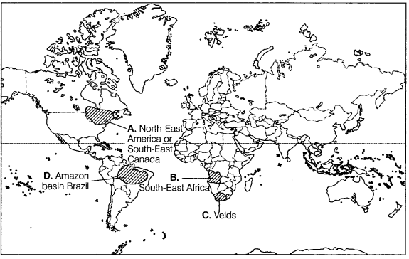 Nomadic Herding Map