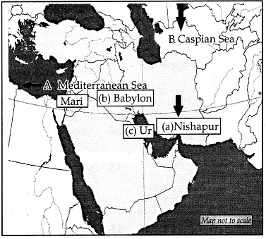 CBSE Class 11 History Sample Paper 2023 - 4 - History Class 11 ...