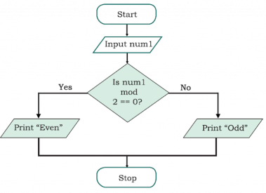 Problem Solving | Computer Science for Class 11 - Humanities/Arts