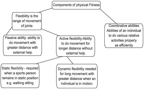 Revision Notes, Physical Fitness, Wellness and Lifestyle, Physical ...