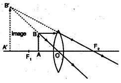 Formation of image using convex lens - Class 10 PDF Download