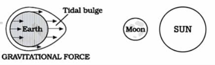 Movements of ocean water - Class 7 PDF Download