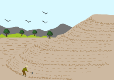 Difference between terrace farming , contour ploughing and contour ...