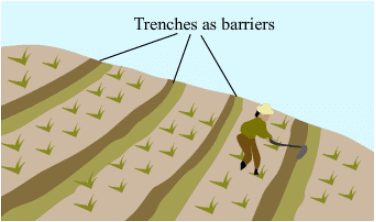 Difference between terrace farming , contour ploughing and contour ...