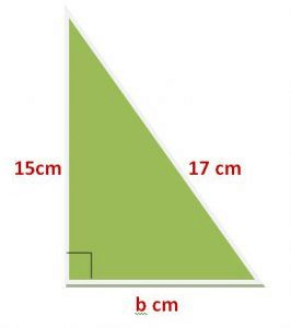 What is Pythagoras theorem - Class 7 PDF Download