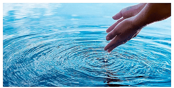 Human Needs Chapter Notes - Science Olympiad Class 4 PDF Download