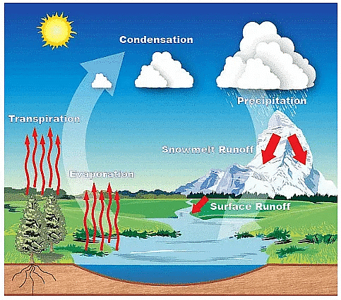 Matter and Materials Chapter Notes - Science Olympiad Class 4 PDF Download