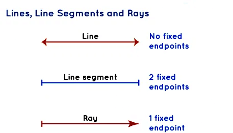 Geometrical Shapes and Solids Chapter Notes - Science Olympiad Class 4 ...