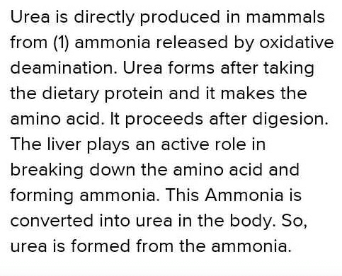 Urea is directly produced in mammals from :-[UP CPMT 2005]a)Ammonia ...
