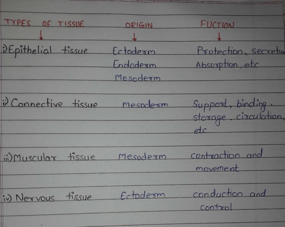 Types , origin and function of tissue? - EduRev NEET Question Types , origin and function of tissue? - EduRev NEET Question