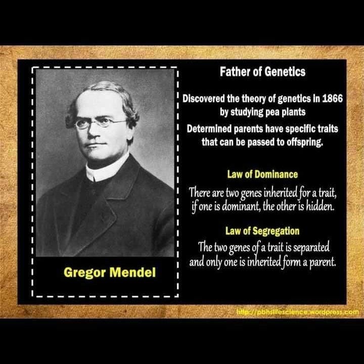Who is known as the father of genetics - EduRev Class 10 Question