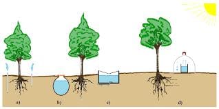 Worksheet Solutions: It's Raining - 2 - EVS for Class 3 PDF Download