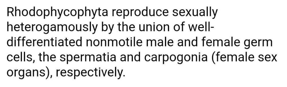Carpogonia Is The Female Sex Organ In Which Of The Algaeachlorophycophytabxanthophycophytac