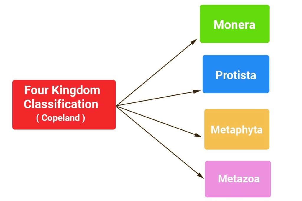 Testing classification - Software Testing PDF Download