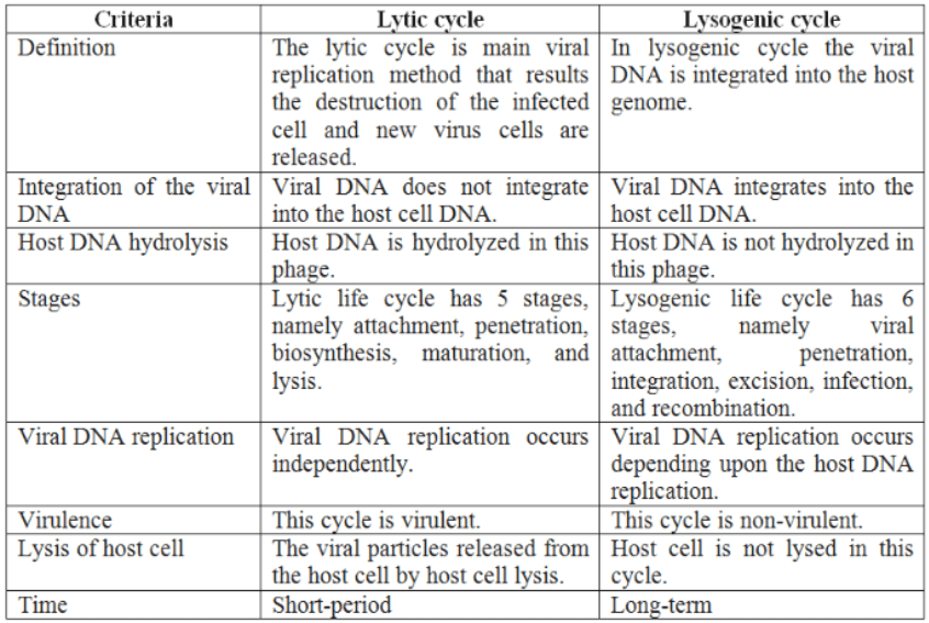 Virus Testing - Software Testing PDF Download