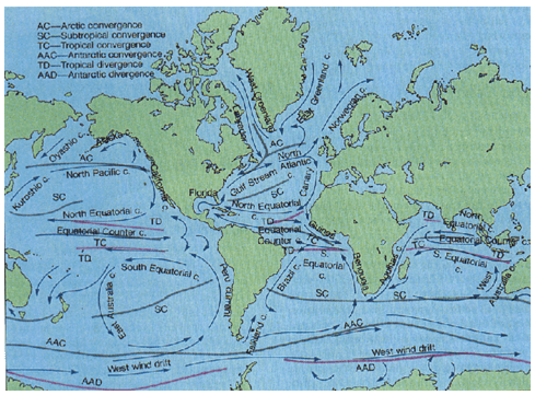 Ocean Currents - Physical Geography, UPSC, IAS. - Geography (Prelims ...
