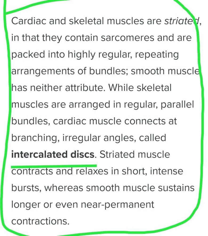 Cardiac muscles differ from striated muscles ina)having intercalated ...
