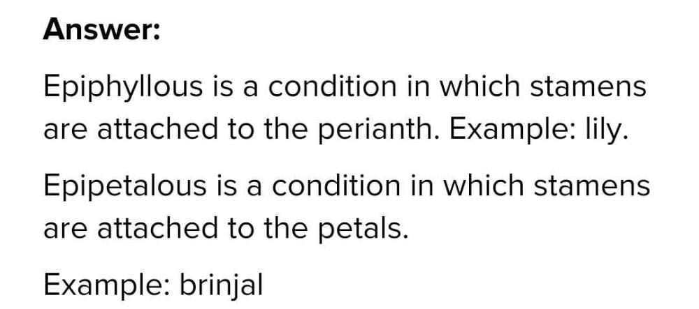 What is difference between epiphyllous/epitepalous and epipetalous ...