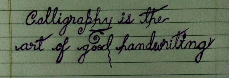 What is calligraphy?a)Stylised writingb)Poetryc)Textbooksd)Flower ...