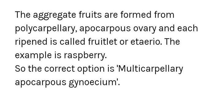 An aggregate fruit is one which develops from-a)Multicarpellary ...