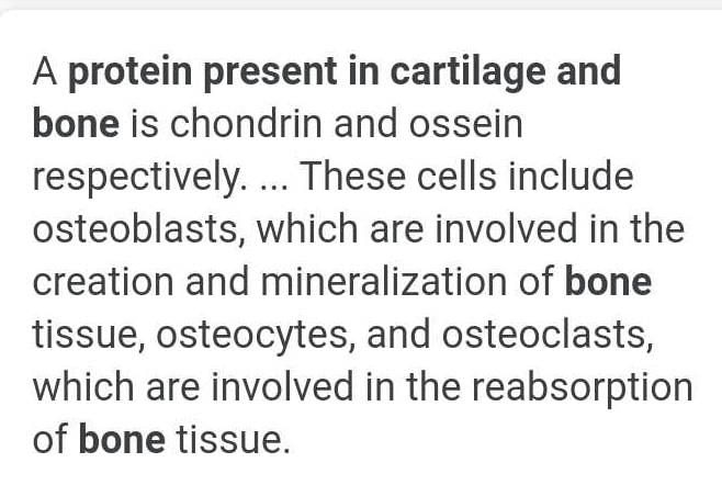 Protein present in cartilage andamp; bone :-a)Chondrin andamp; ossein ...