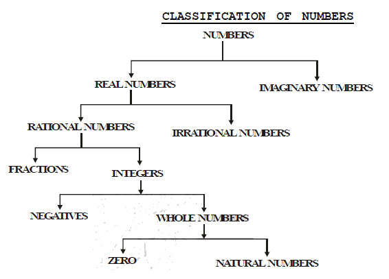 Real Numbers, Class 10, Maths Detailed Chapter Notes PDF Download
