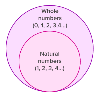 NCERT Chapter Notes - Whole Numbers - Class 6 PDF Download