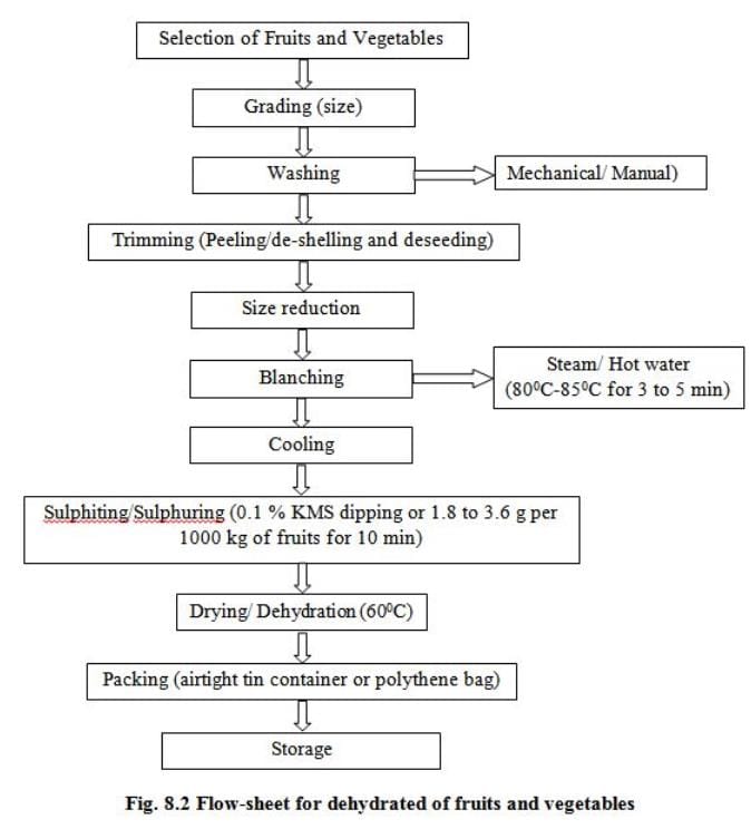Fruits and Vegetables Processing, Crop Process Engineering - Crop ...