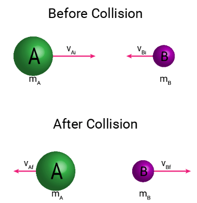 Collisions - Physics Class 11 - NEET PDF Download