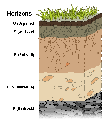 Soil Class 7 Notes Science Free PDF