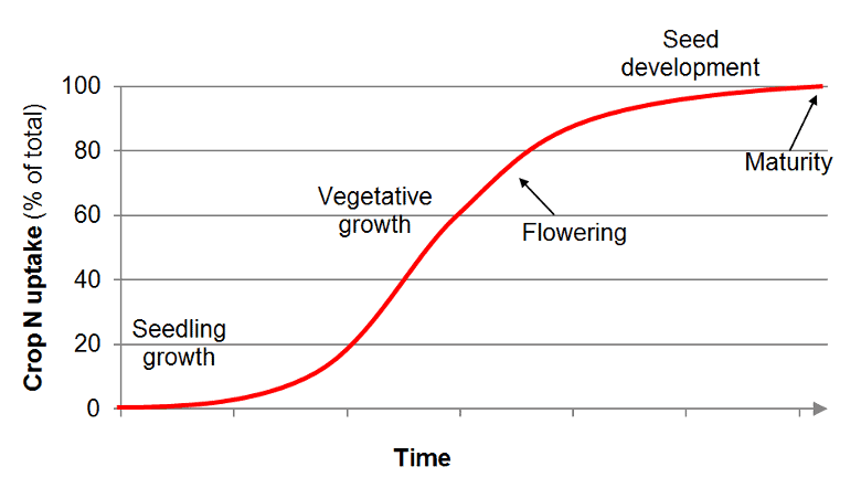 Phases of Growth | Biology Class 11 - NEET