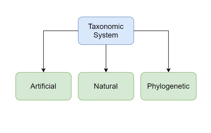 Need for Classification and Three Domains of Life - Biology A-Level - A ...