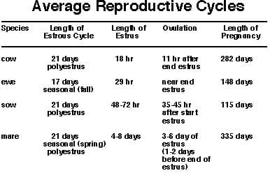 Estrus Cycle - Biology for Grade 12 PDF Download