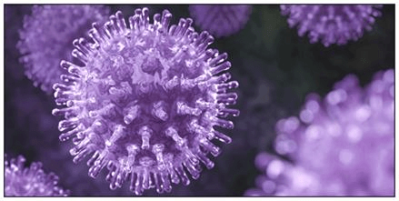 Viruses, Viroids, Prions and Lichens - Additional Study Material for ...