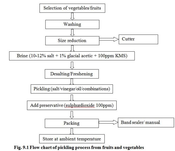 Processed Products from Fruits and Vegetables, Crop Process Engineering ...
