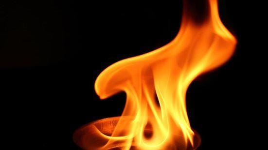 Types of Combustion - Class 8 PDF Download