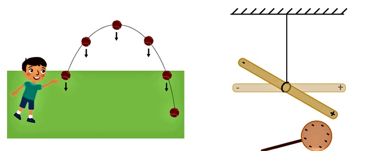Class 8 Science Chapter 8 Question Answers - Force and Pressure