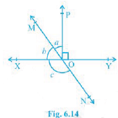 Exercise -6.1 : Lines and Angles - Class 9 PDF Download