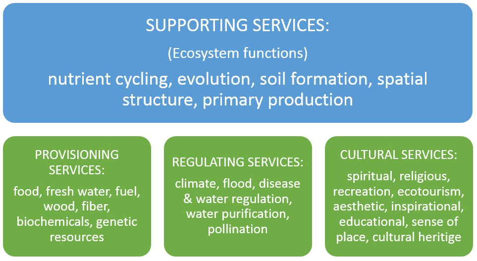 Biosphere and Working of Ecosystems: Environment and Disaster ...