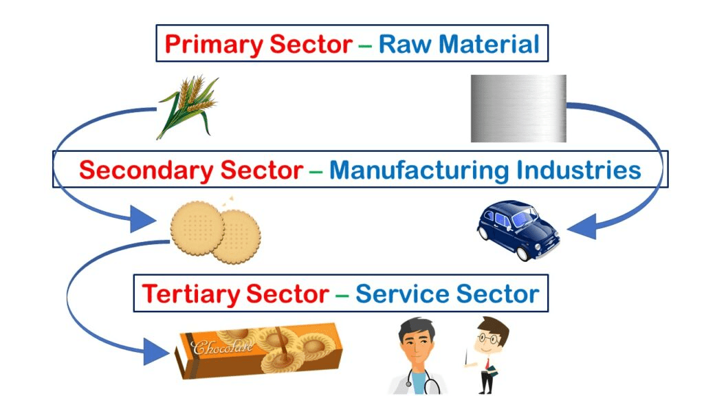 Sectors of the Economy - Geography for UPSC CSE PDF Download