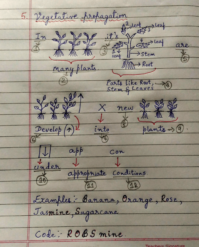 Overview of Asexual reproduction with amazing codes and tricks to ...
