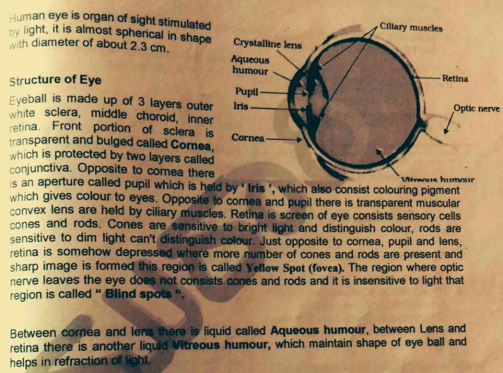 Explaination of human eye? - EduRev Class 10 Question