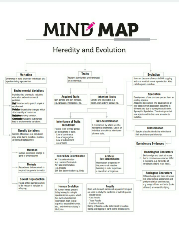 Notes of Heredity and Evolution with Mind map.. - Class 10 PDF Download