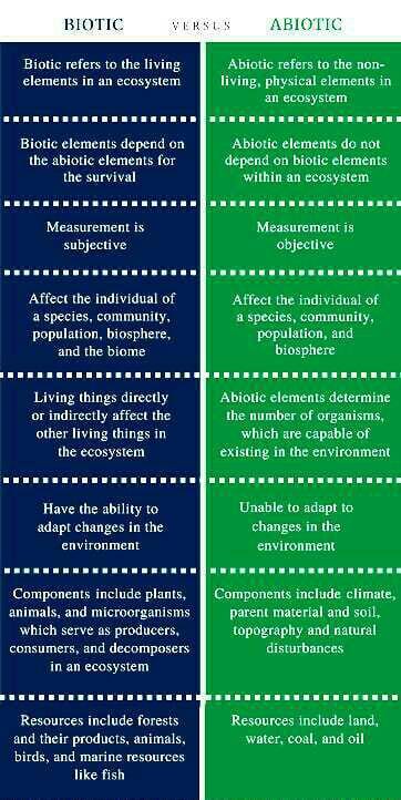 Abiotic And Biotic Factors Lessons