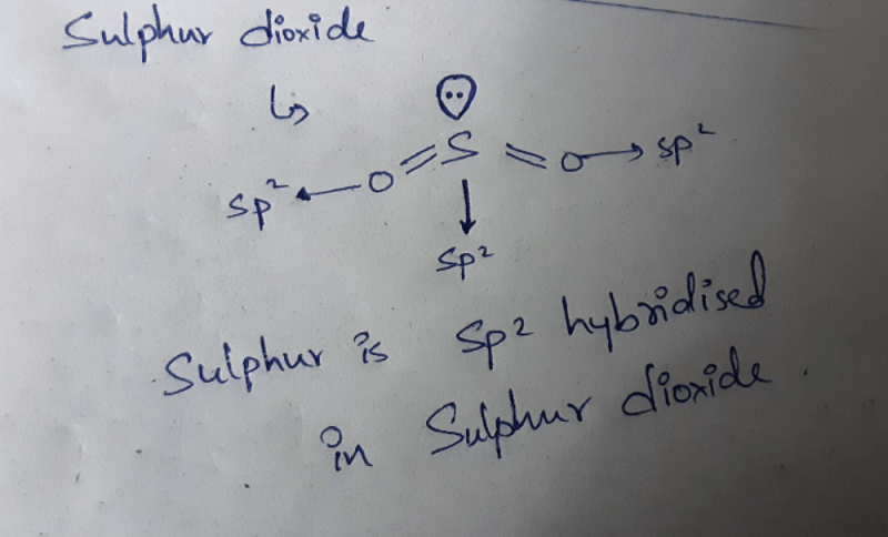 The hybridisation of sulphur in sulphur dioxide is : (1986 - 1 Mark)a)spb)sp3c)sp2d)dsp2Correct ...