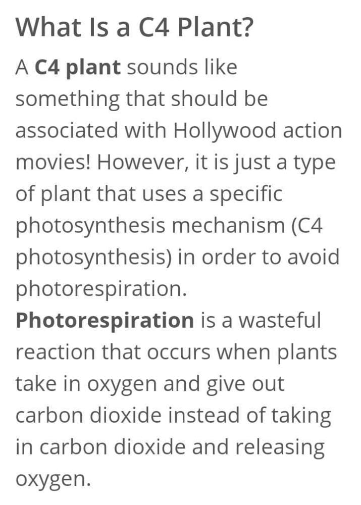 what is C4 cycle - EduRev Class 12 Question