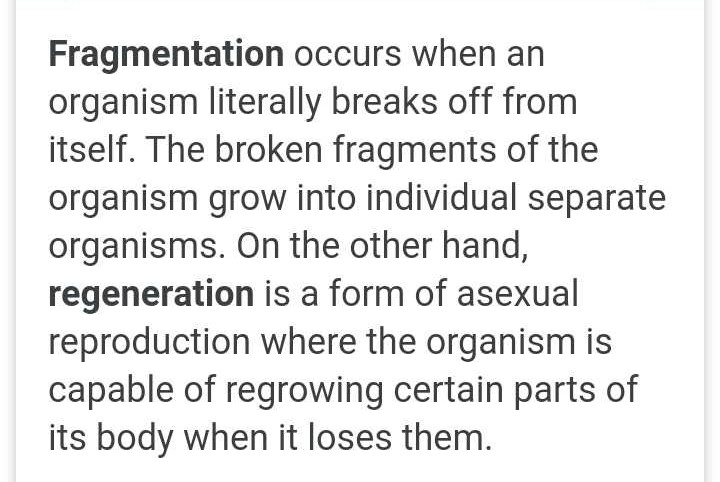 Fragmentation Definition