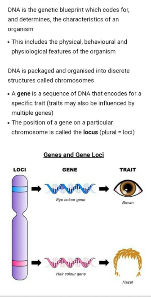 hello everyone, can anyone tell me the exact difference between gene ...