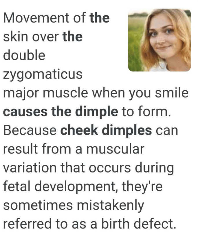 What are the cause of occurring dimples in our face? - EduRev Class 9 ...