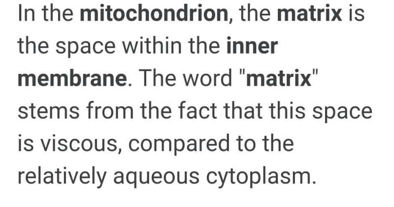 What is matrix in mitochondria? - EduRev Class 9 Question